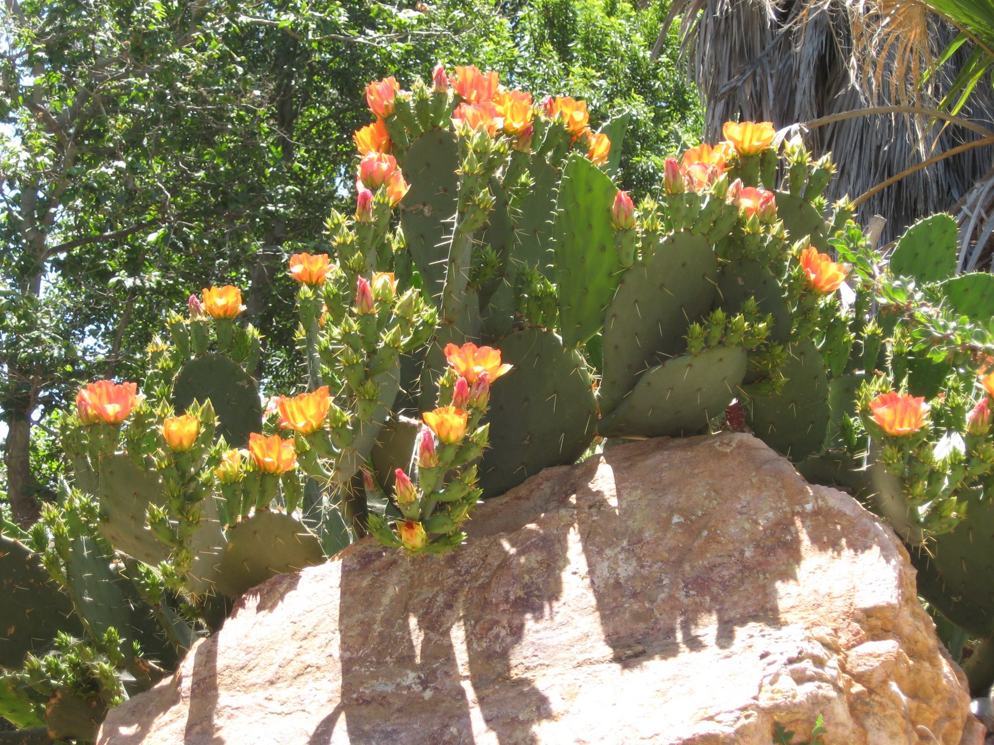 Plant Communities | Environmental Nature Center