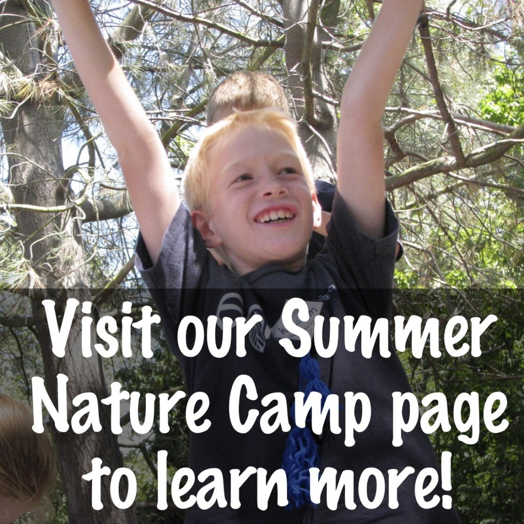 Children and Nature go Hand in Hand | Environmental Nature Center