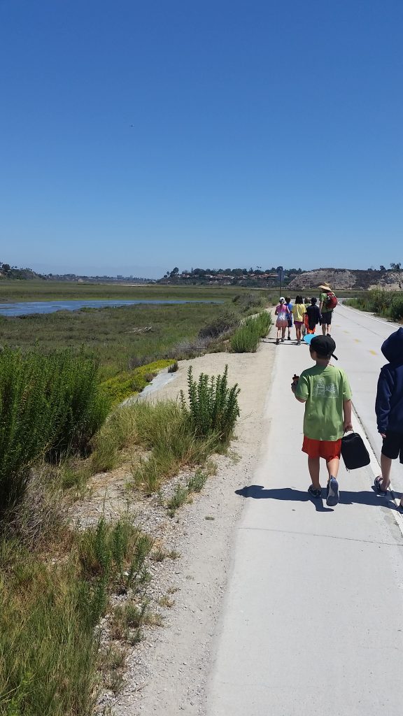 Science Explorers Camp | Environmental Nature Center