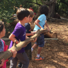 Camps | Environmental Nature Center