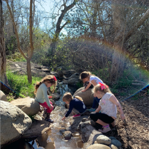 Camps | Environmental Nature Center
