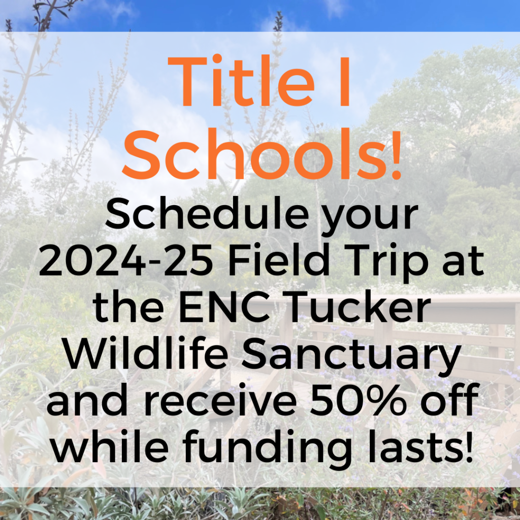 School Field Trips | Environmental Nature Center